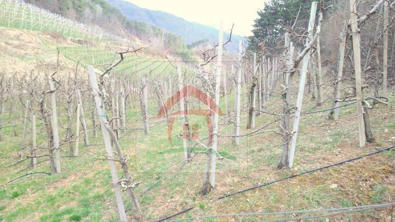 Terreno agricolo in vendita a Giovo