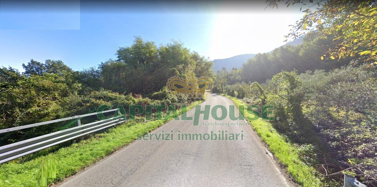 Terreno agricolo in vendita a Castel Morrone