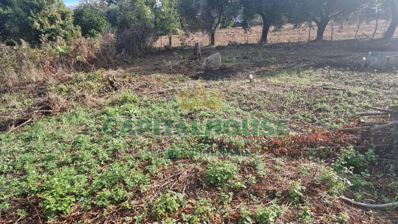 Terreno edificabile in vendita a Portico Di Caserta