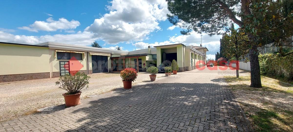 Appartamento in vendita a Sinalunga