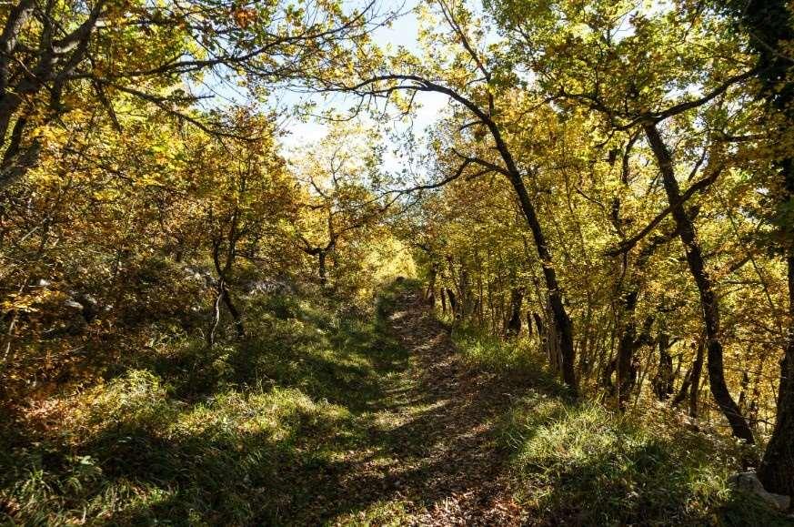 Terreno agricolo in vendita a Odolo