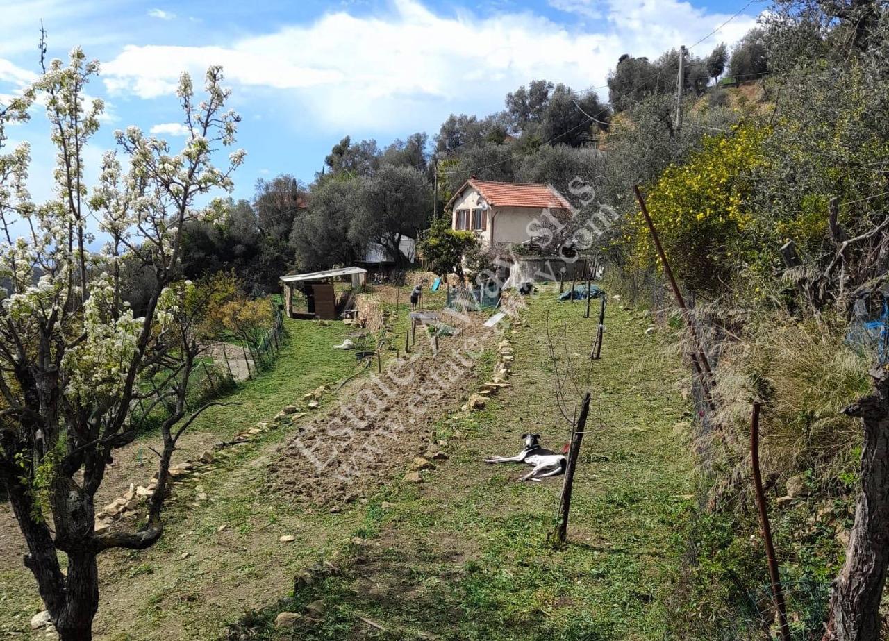 Casa indipendente in vendita a Seborga