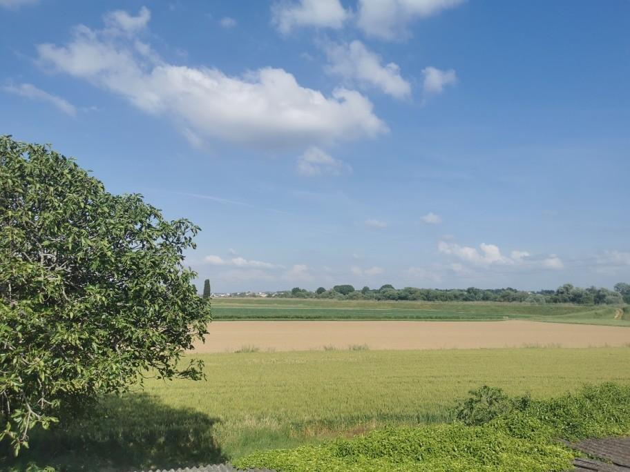 Rustico in vendita a Santa Maria A Monte