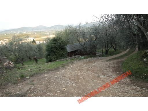 Terreno agricolo in vendita a Bagno A Ripoli
