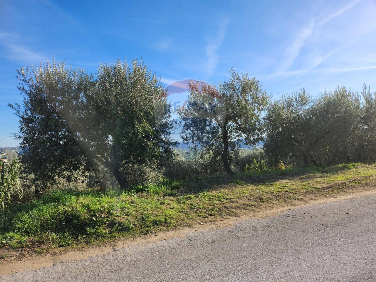 Terreno edificabile in vendita a Miglianico