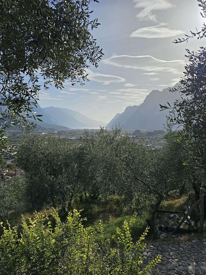 Terreno agricolo in vendita a Arco