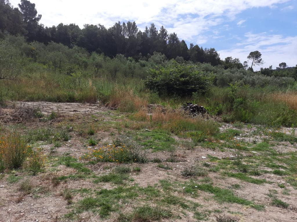 Terreno agricolo in vendita a Livorno