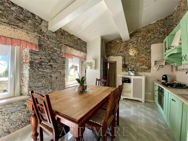 Terratetto unifamiliare in affitto a Pietrasanta