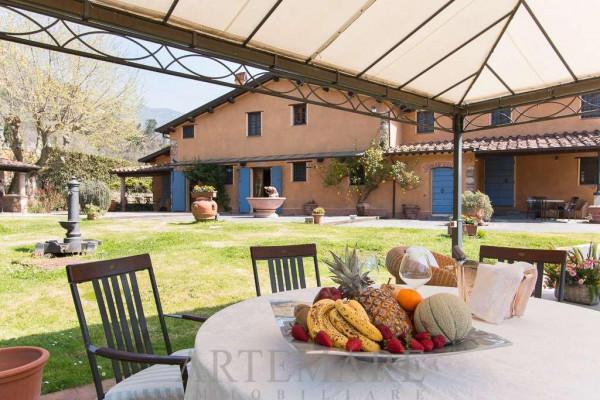 Villa in affitto a Pietrasanta