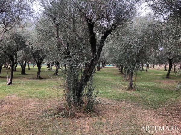Terreno edificabile residenziale in vendita a Forte Dei Marmi