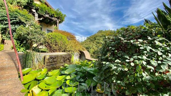 Villa a schiera in vendita a Camaiore