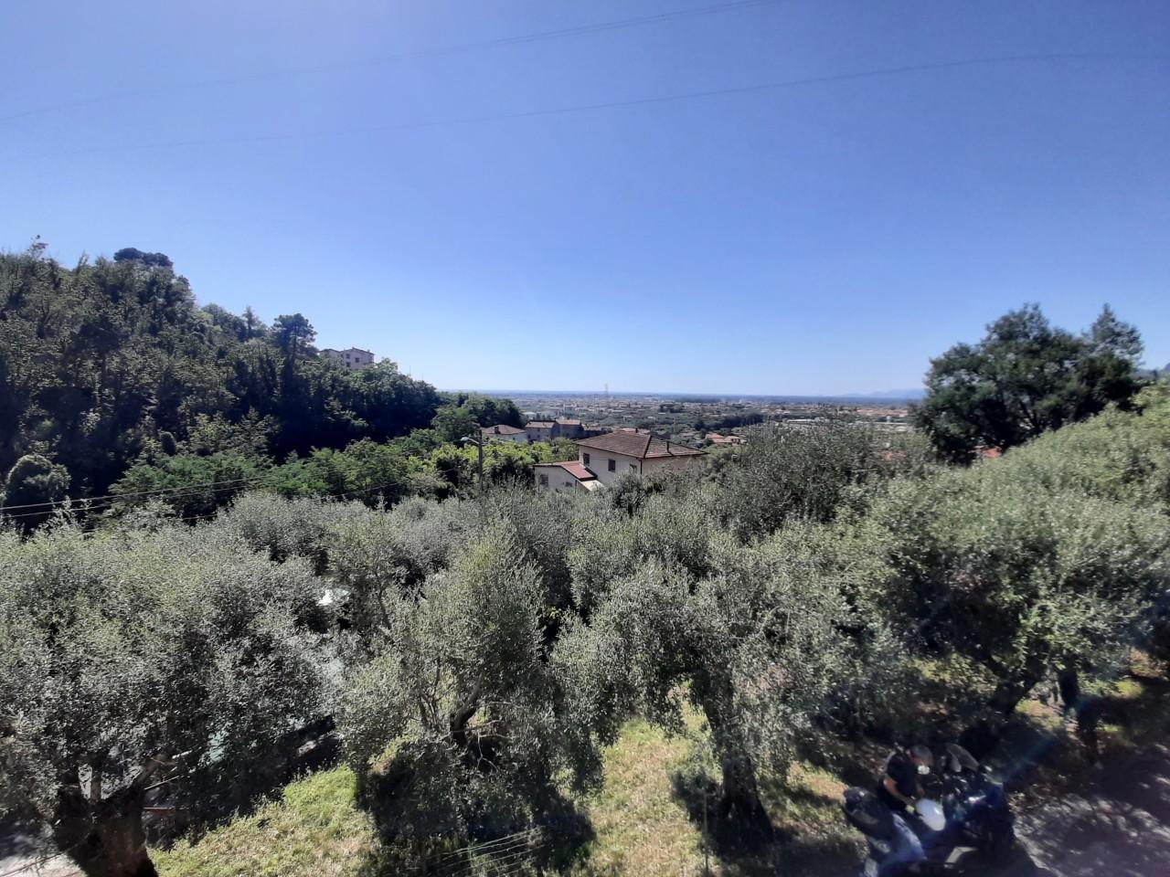 Appartamento in vendita a Pietrasanta