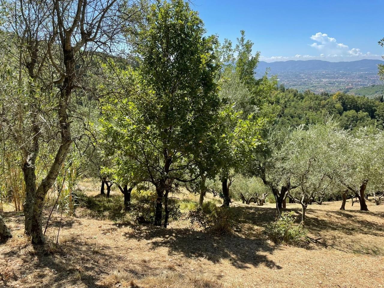 Terreno edificabile in vendita a Pistoia