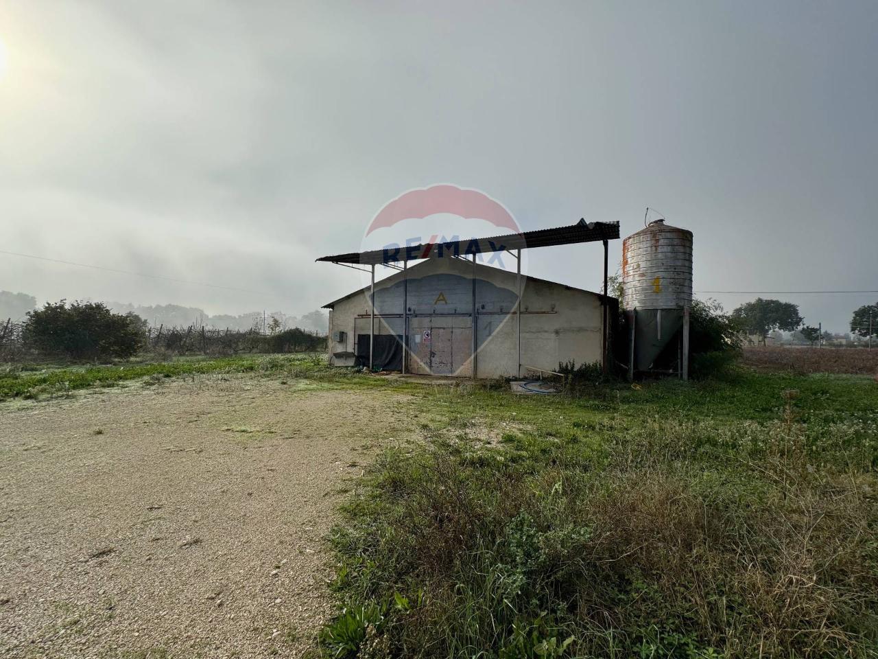 Negozio in vendita a Spello