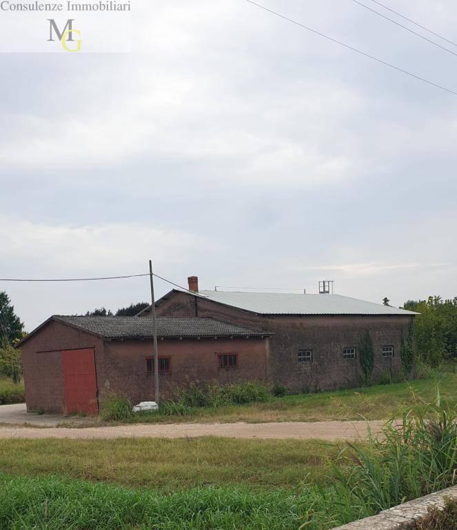 Terreno agricolo in vendita a Belfiore