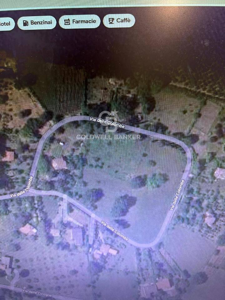 Terreno agricolo in vendita a Sutri