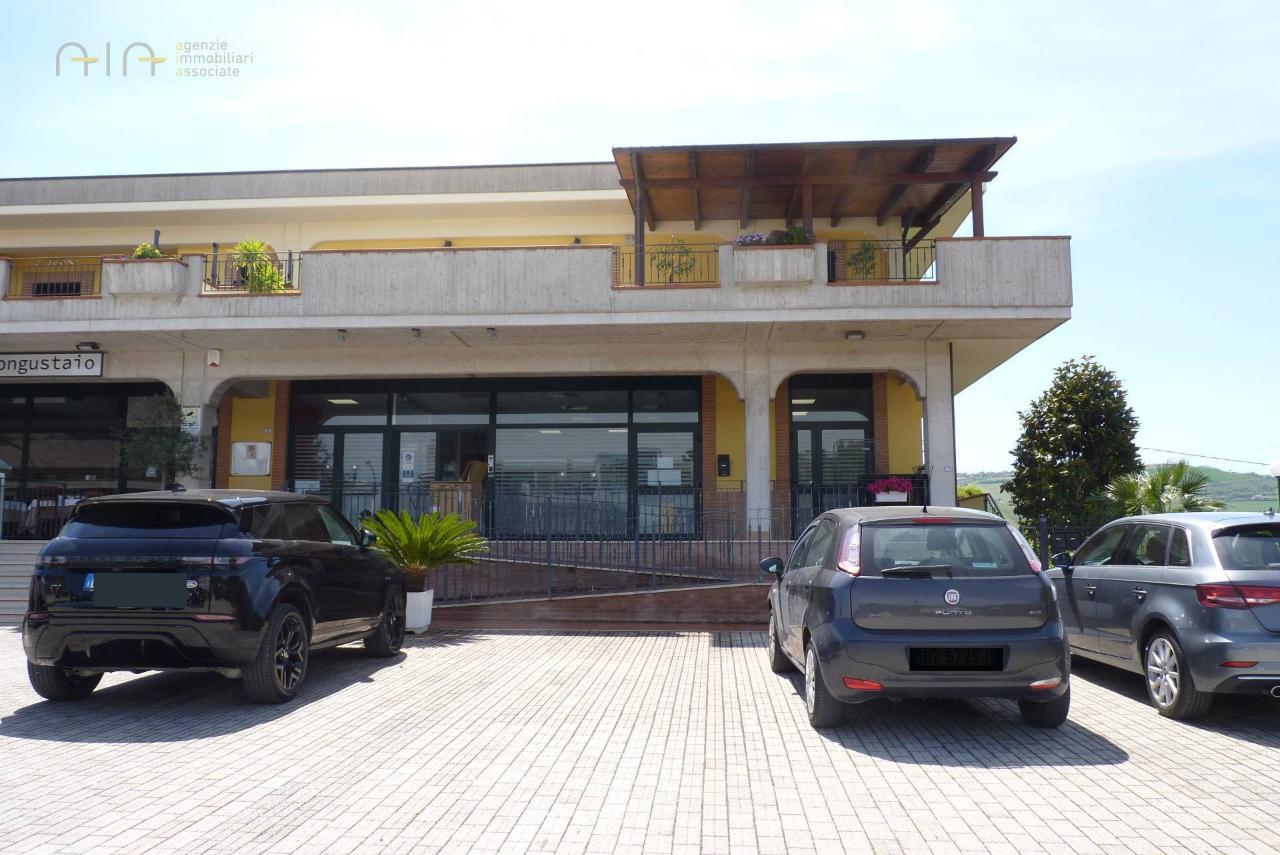 Negozio in affitto a Colli Del Tronto