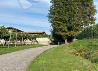 Terreno agricolo in vendita a Pastrengo