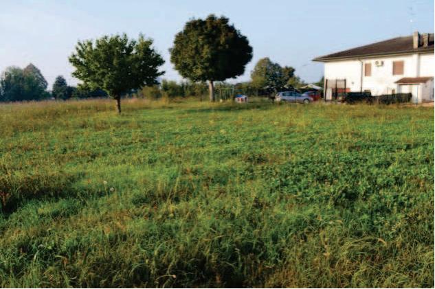 Terreno edificabile residenziale in vendita a Trevenzuolo