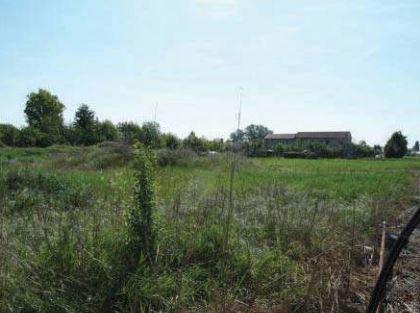 Terreno edificabile residenziale in vendita a Bovolone