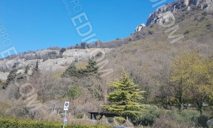Terreno agricolo in vendita a Dolce'
