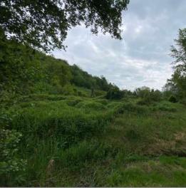 Terreno edificabile produttivo in vendita a Vestenanova