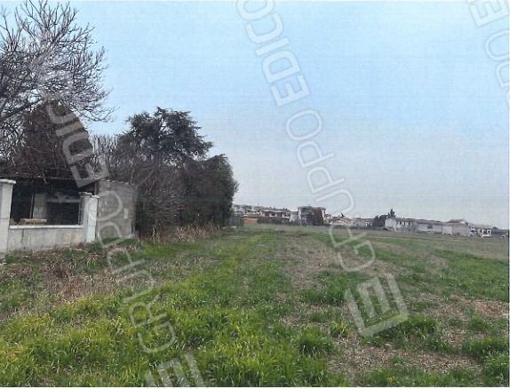 Terreno edificabile residenziale in vendita a Ronco All'Adige