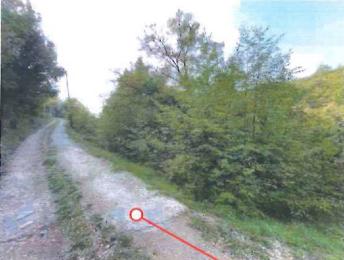 Terreno agricolo in vendita a Negrar