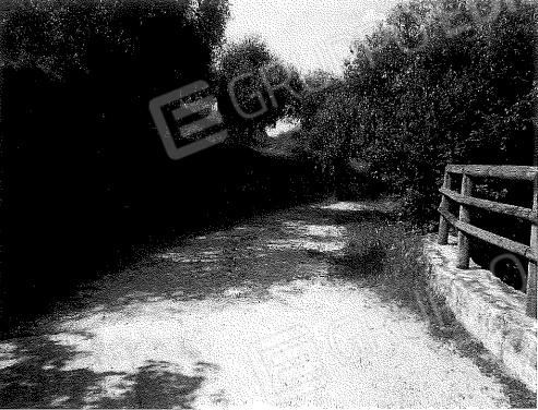 Terreno agricolo in vendita a Torri Del Benaco