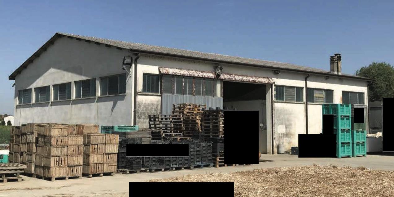 Terreno agricolo in vendita a Ceregnano