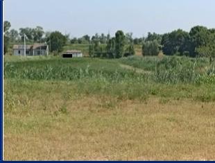 Terreno agricolo in vendita a Taglio Di Po