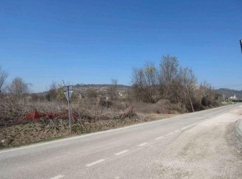 Terreno edificabile commerciale in vendita a Orgiano