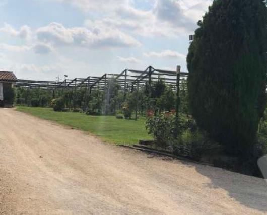 Terreno agricolo in vendita a Legnago