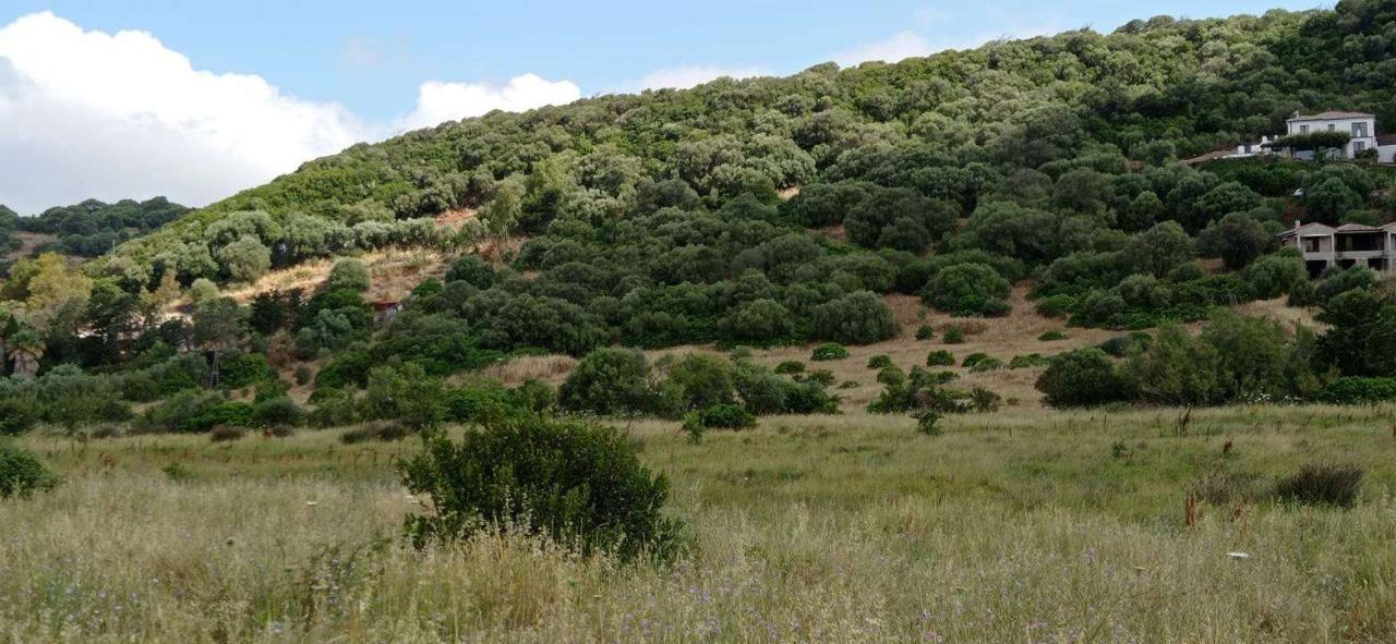 Terreno agricolo in vendita a Alghero