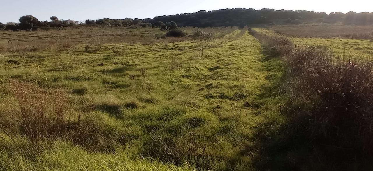 Terreno agricolo in vendita a Alghero