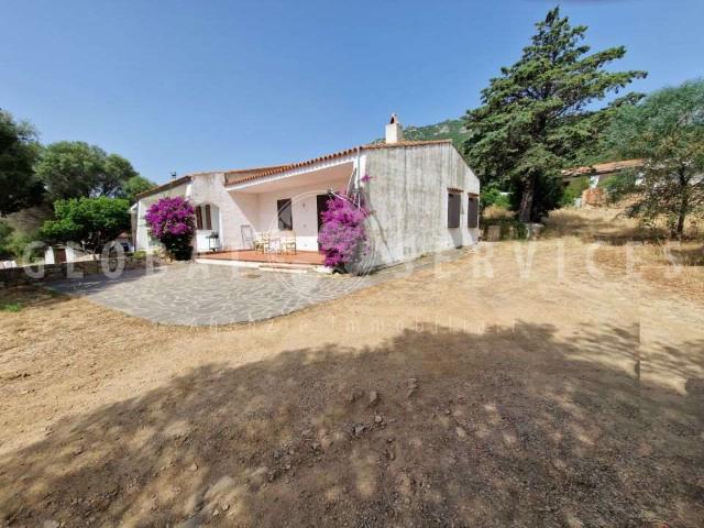 CARTOLINA FARNESE (VITERBO) Fontana  Viaggiata  F.Grande