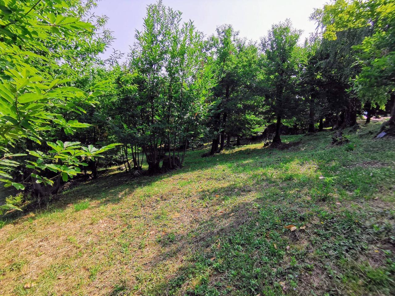 Terreno edificabile in vendita a Ello