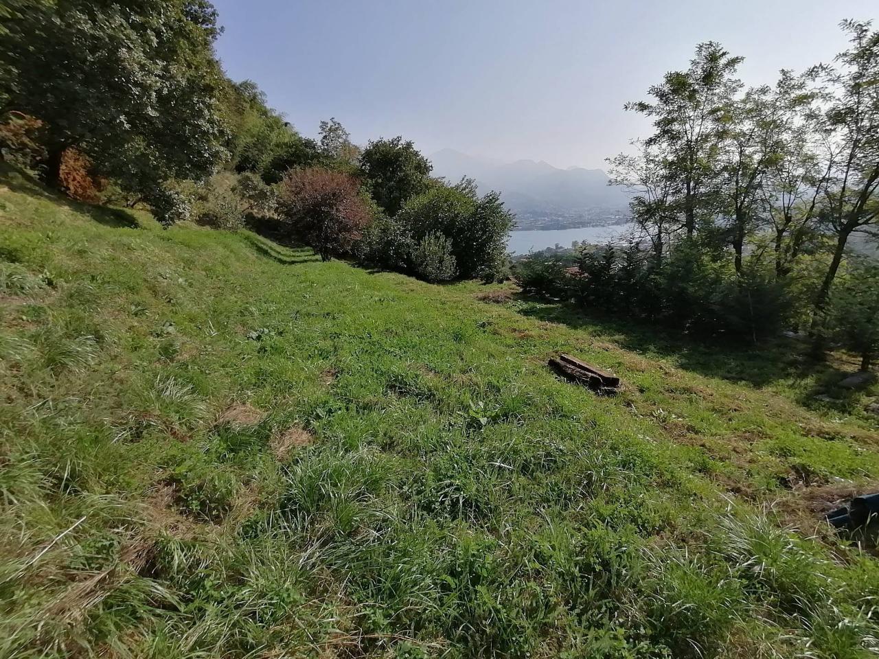 Terreno agricolo in affitto a Galbiate