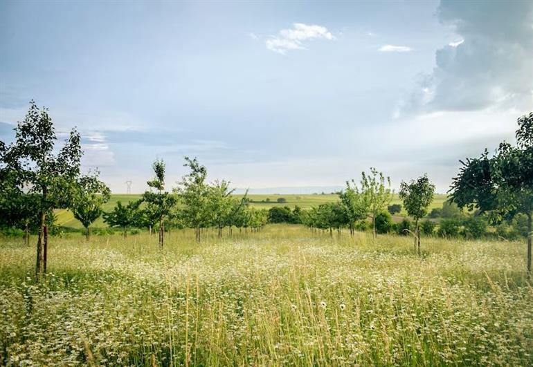 Appartamento in vendita a Viterbo