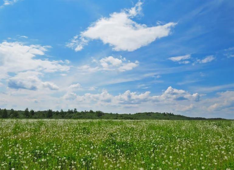 Terreno edificabile residenziale in vendita a Roma