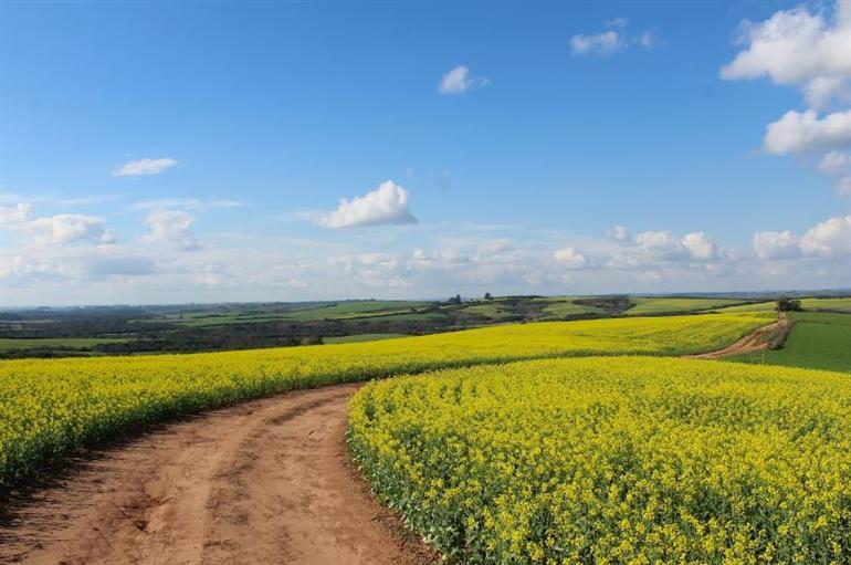 Villa in vendita a Formello