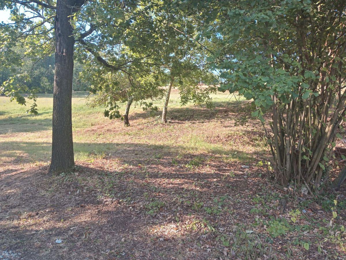 Rustico in vendita a Lugagnano Val D'Arda