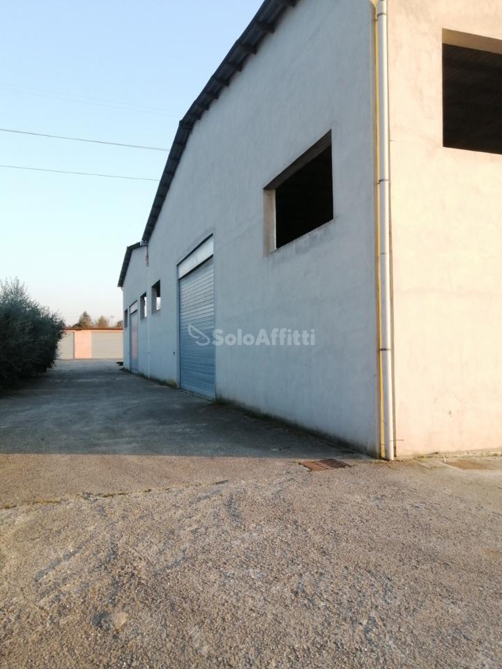 Capannone in affitto a Colonna