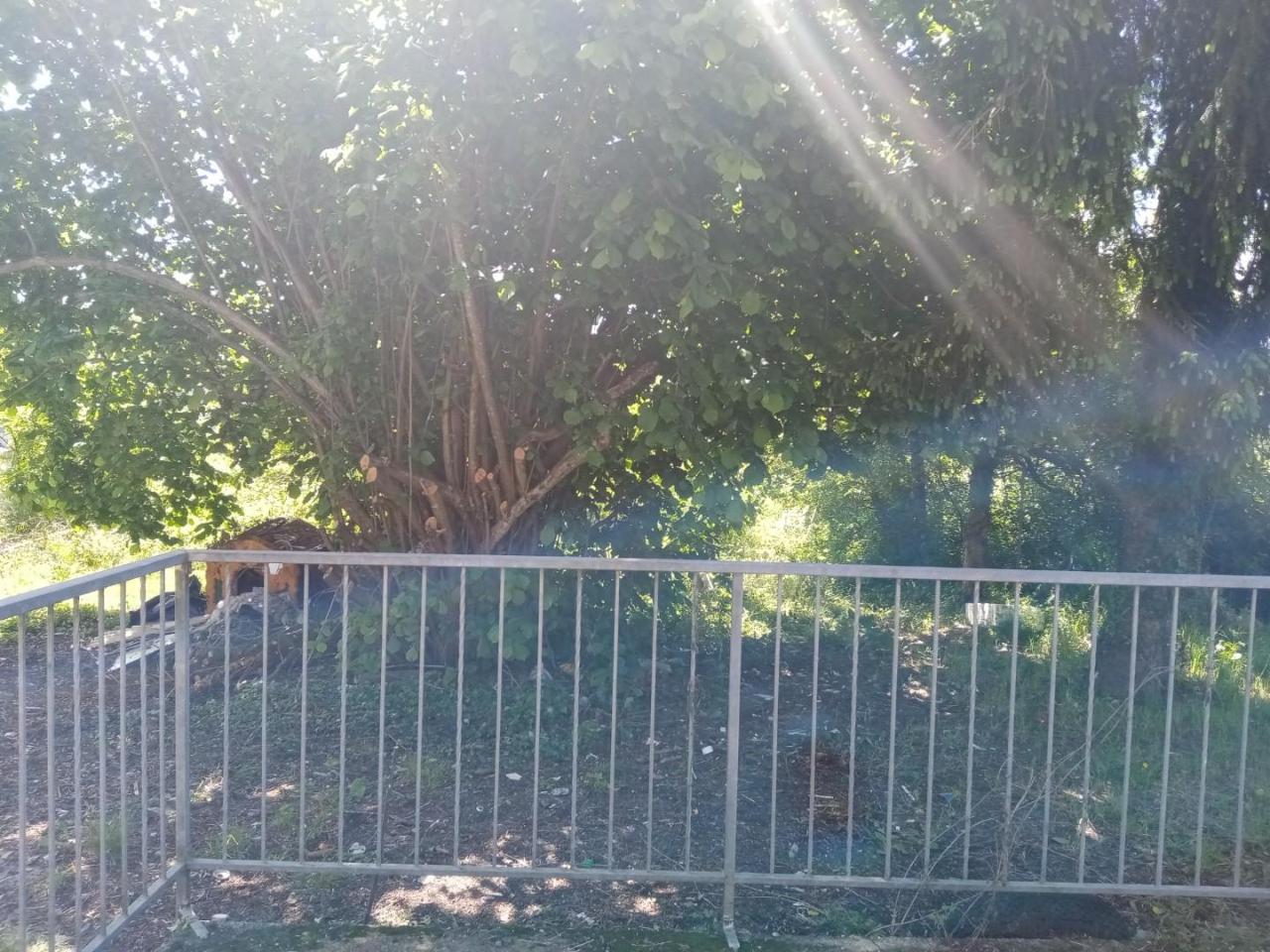 Porzione di casa in vendita a Licciana Nardi