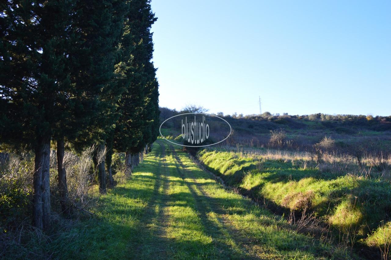 Azienda agricola in vendita a Figline e Incisa Valdarno