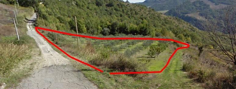 Terreno agricolo in vendita a San Buono