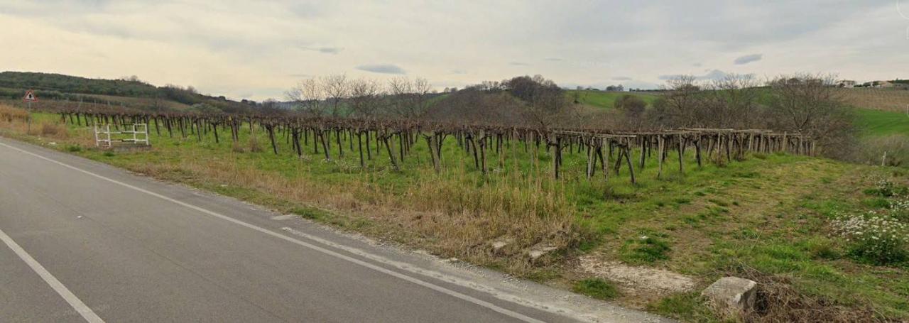 Terreno agricolo in vendita a Scerni