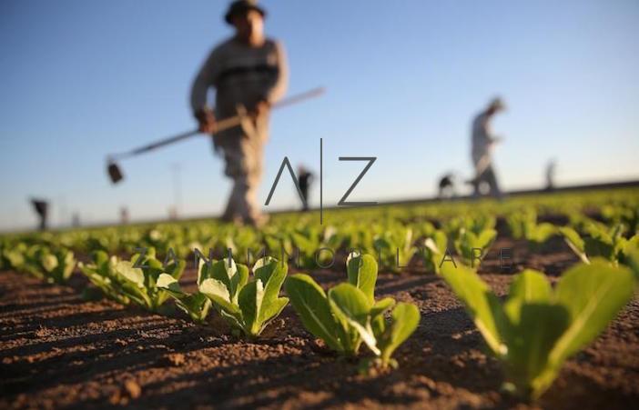 Terreno agricolo in vendita a Riese Pio X