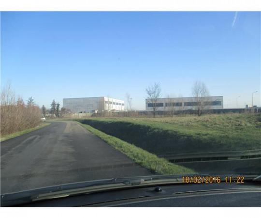Terreno edificabile in vendita a Cologna Veneta