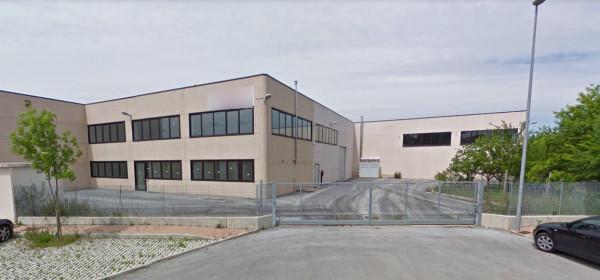 Appartamento in vendita a Monte San Vito